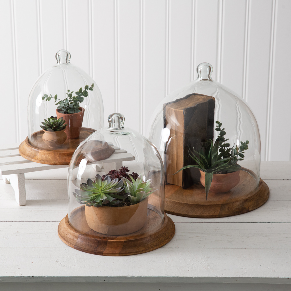 Small Glass Bell Shaped Cloche with Wood Base | CTW Home Collection