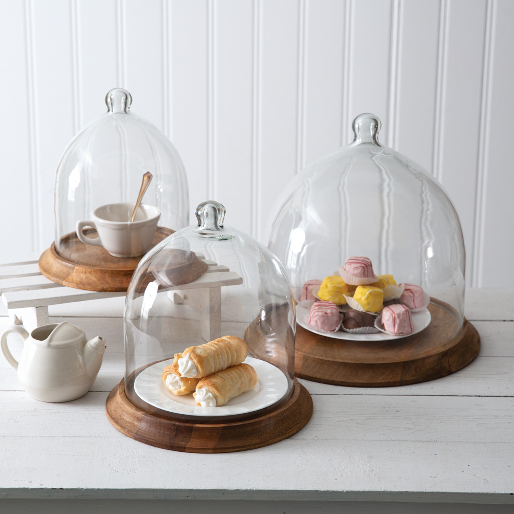 Small Glass Bell Shaped Cloche with Wood Base | CTW Home Collection