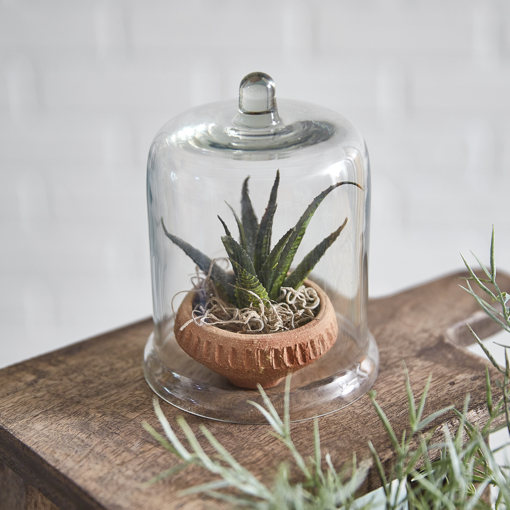 Miniature Glass Bell Cloche | CTW Home Collection