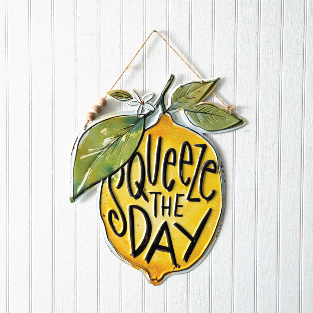 Squeeze the Day Wall Sign | CTW Home Collection