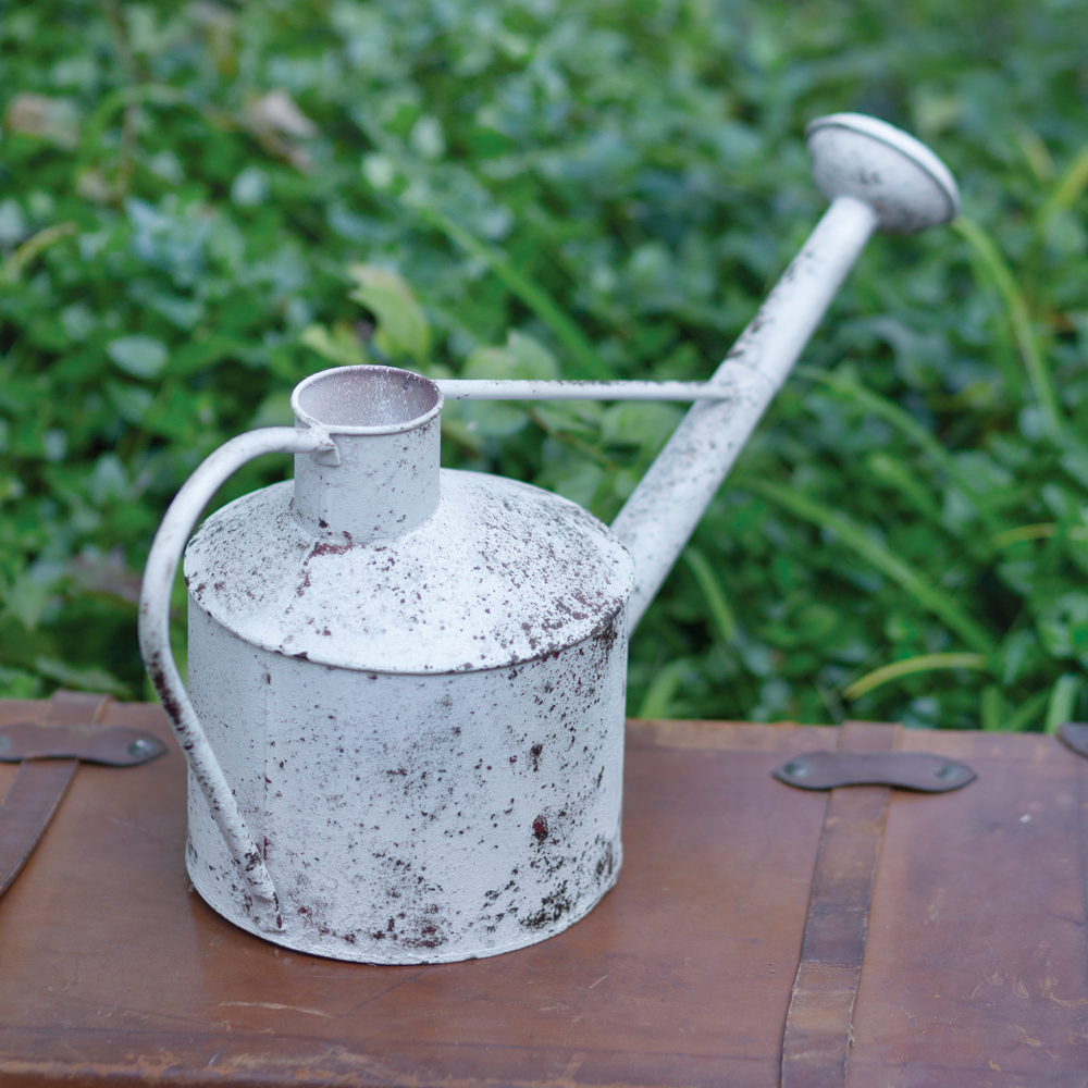 Speckled Rose Watering Can | CTW Home Collection