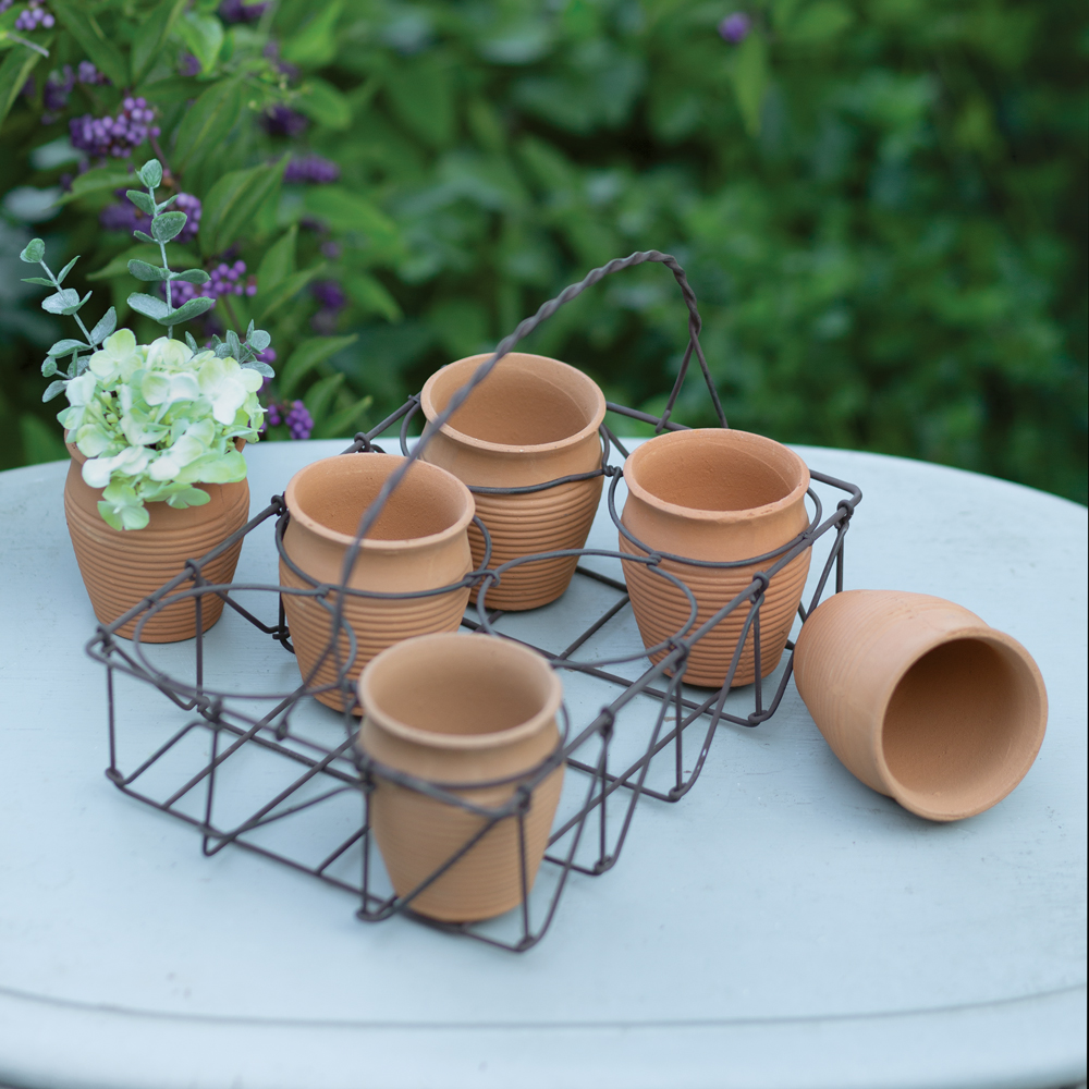 Wire Caddy with Six Miniature Terra Cotta Pots | CTW Home Collection