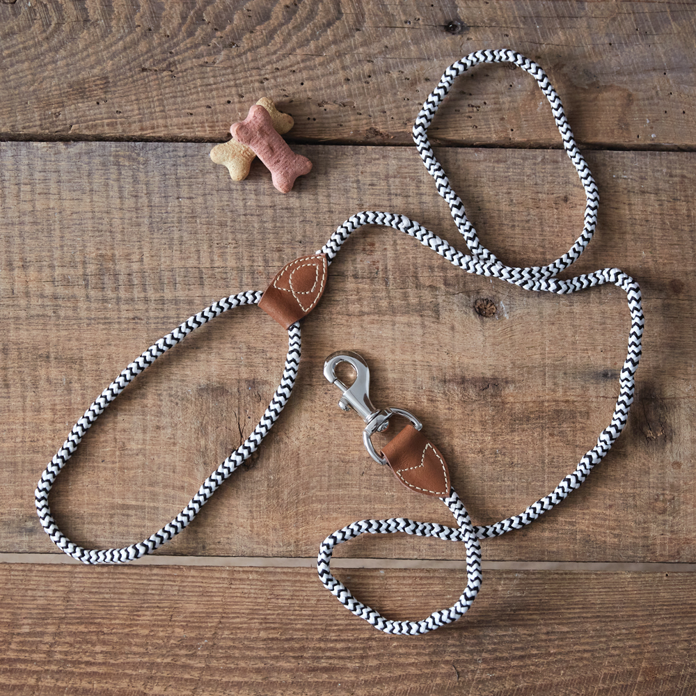 Braided Nylon and Leather Leash | CTW Home Collection