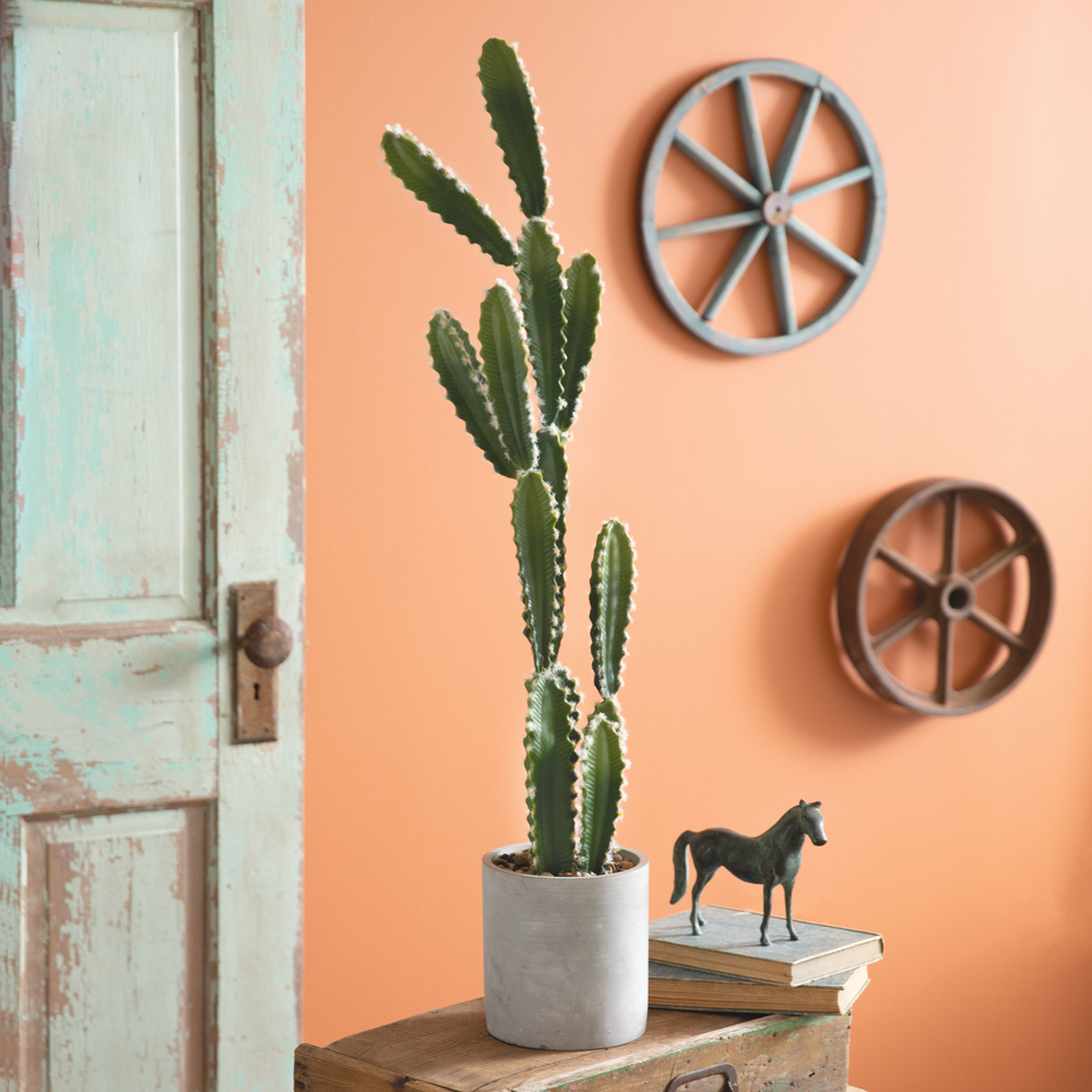 Cowboy Cactus Plant | CTW Home Collection
